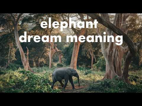 elephant dream meaning / what does it mean to see elephant in dream? / interpretation / symbolism