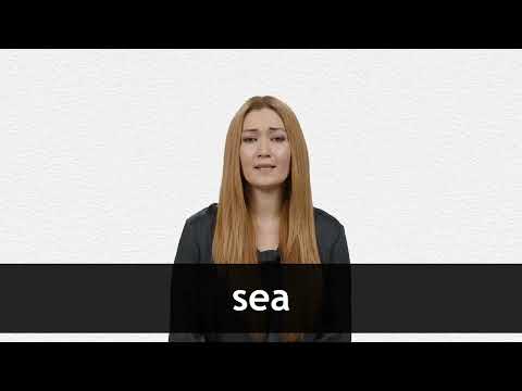 SEA 释义 | 柯林斯英语词典