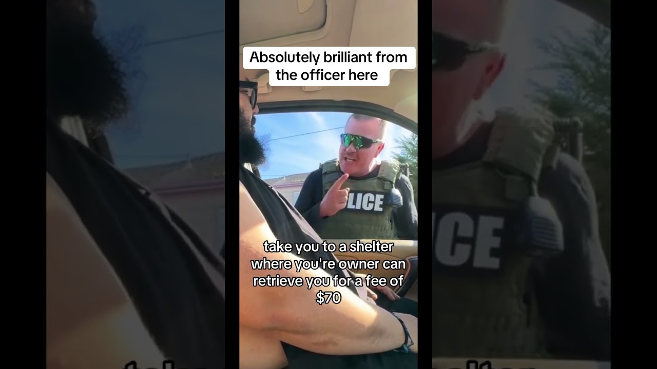 Man Gets Pulled Over And Identifies As A Cat