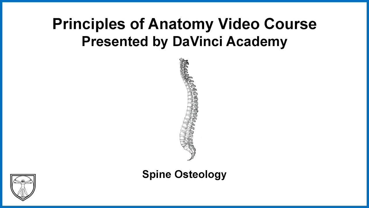 Spine Osteology [Spine Anatomy 1 of 6]