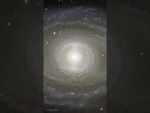 NGC 1398: The Barred Spiral Jewel of the Furnace