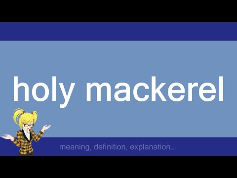 holy mackerel