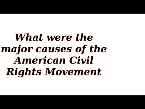 What were the major causes of the American Civil Rights Movement