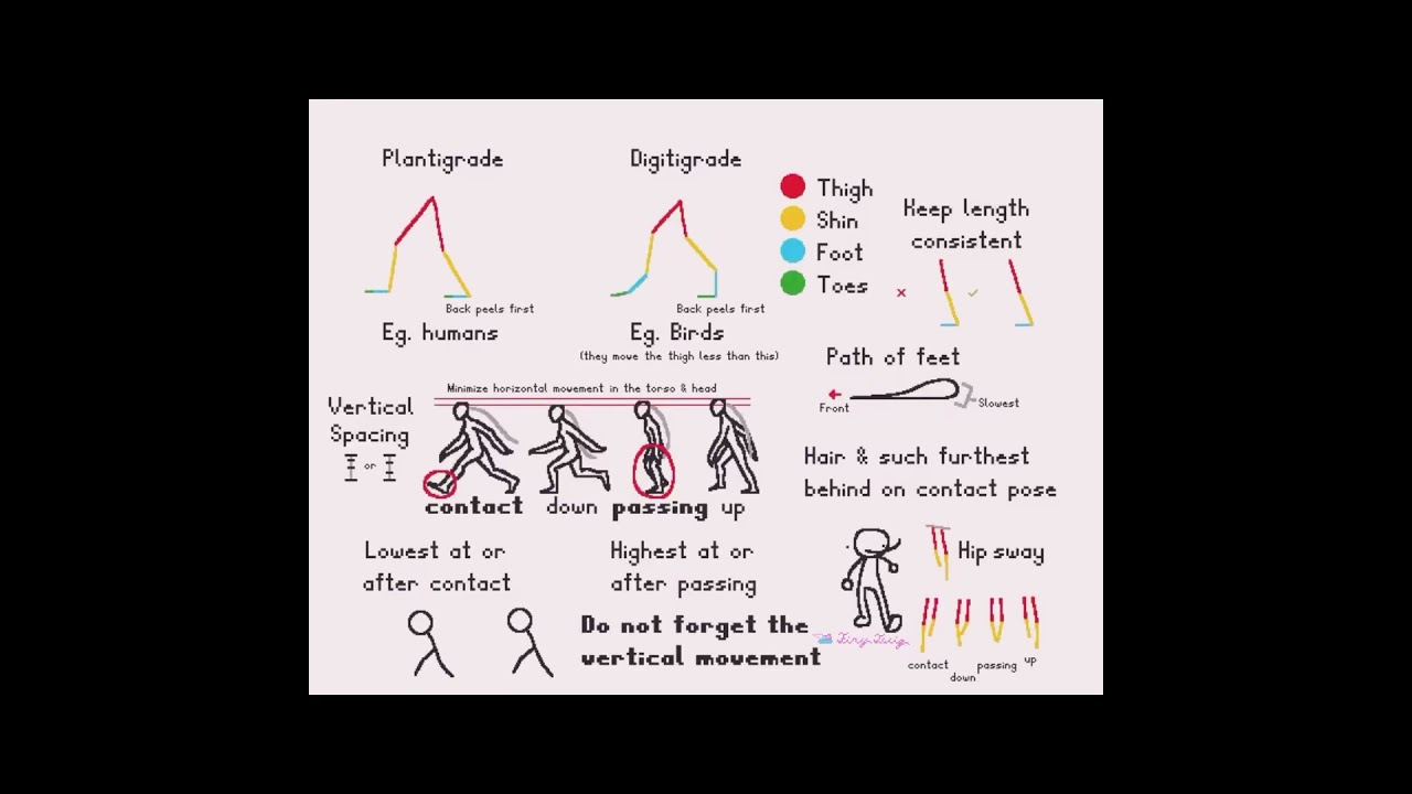 Walk Cycle Tutorial - Bipeds #animation