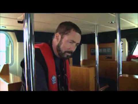 Marine navigation equipment Shards at Raymarine