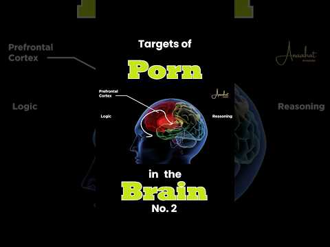 Prefrontal Cortex: The Second Target of Porn in Brain #shorts