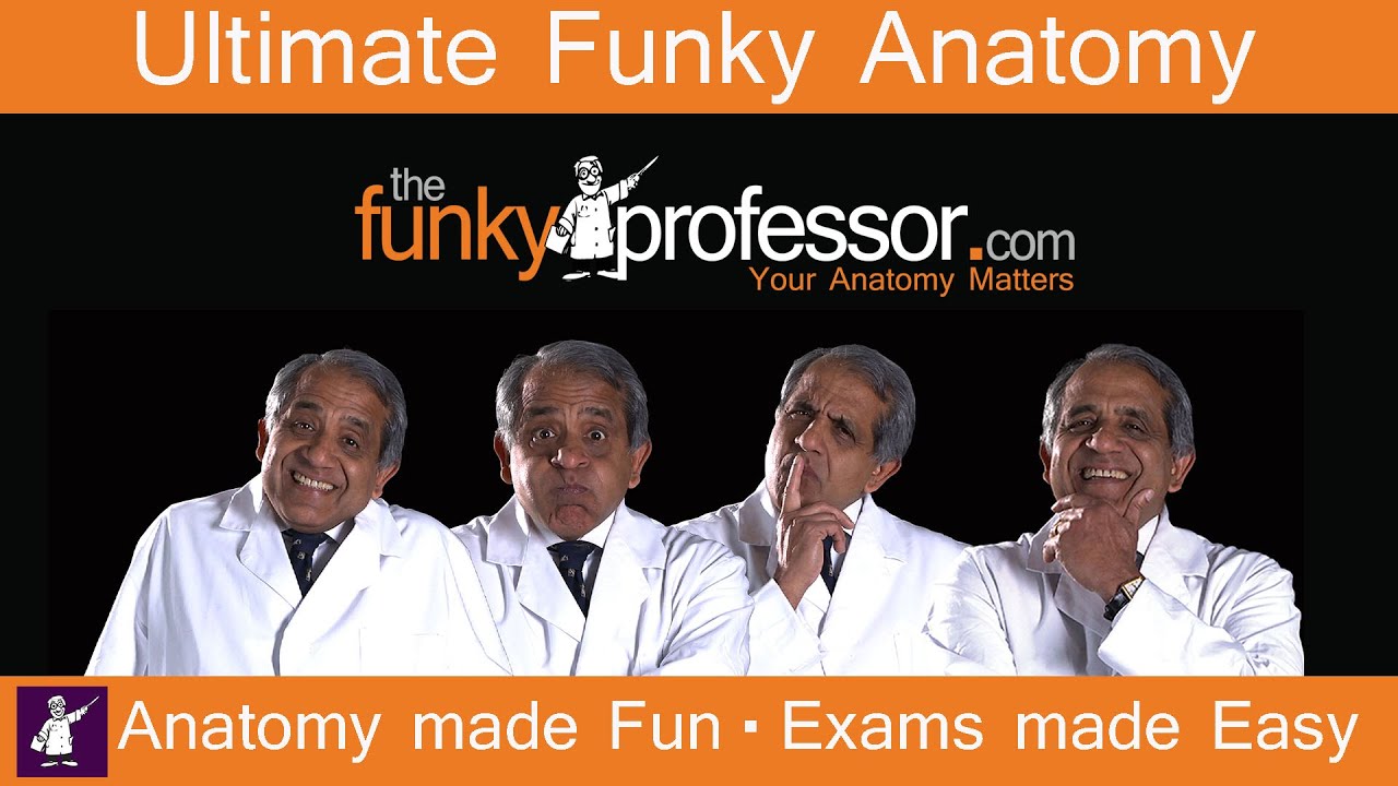 Anatomy made Fun.  Exams made Easy with The Funky Professor, Vishy Mahadevan, RCSEng