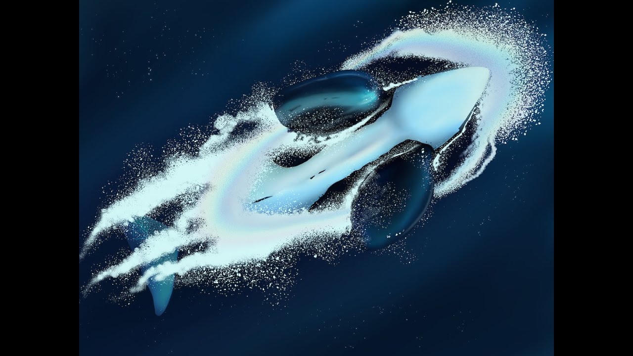 Orca Speedpainting - Procreate Timelapse