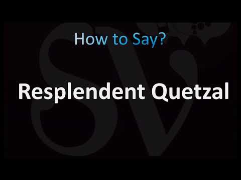How to Pronounce Resplendent Quetzal (CORRECTLY!)