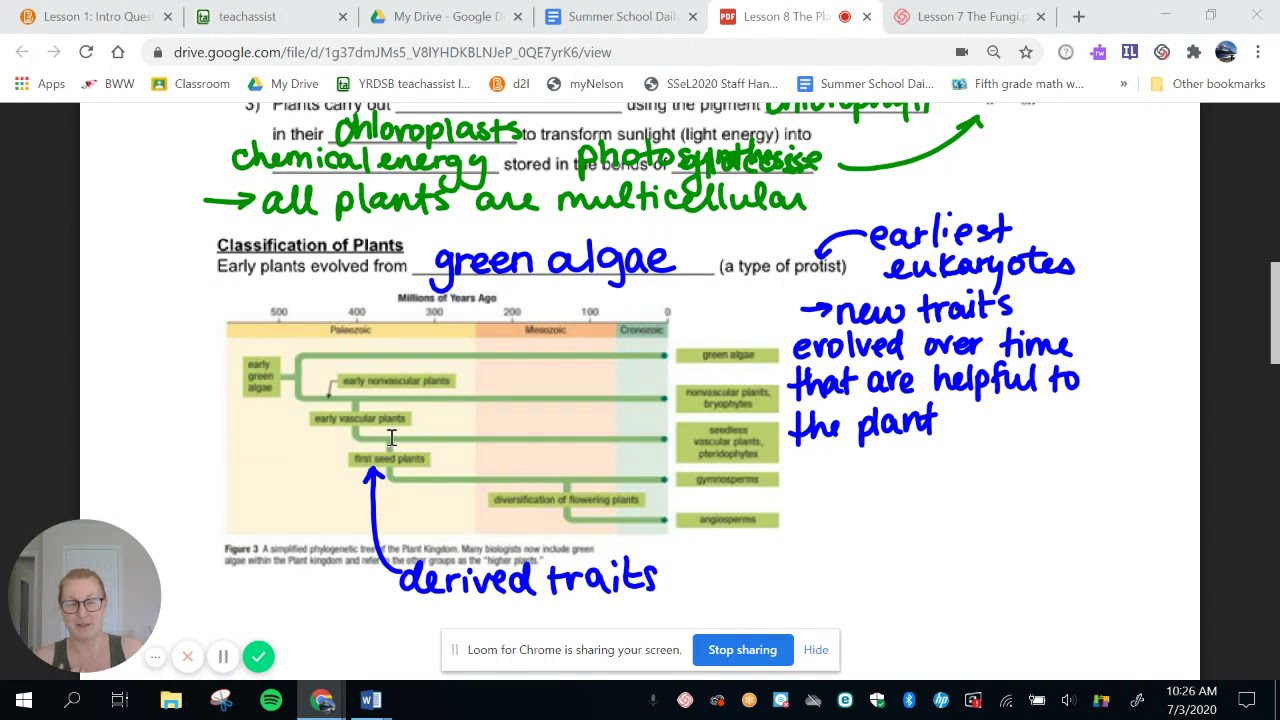 Lesson 8 The Plants pdf   Google Drive