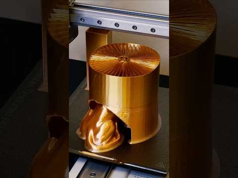 3D printed Hairy Lion