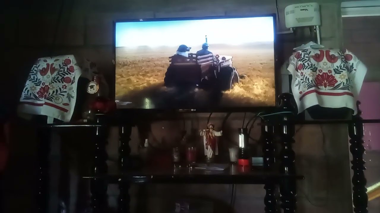 VID 20250502 233239