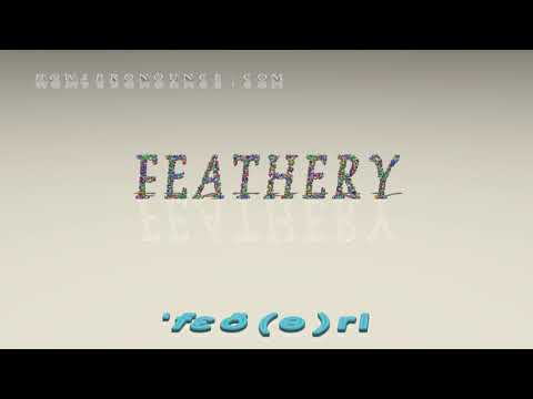 feathery - pronunciation + Examples in sentences and phrases