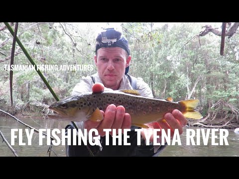 TFA #25 Fly Fishing for Tyenna River Trout – Tasmanian Fishing Adventures