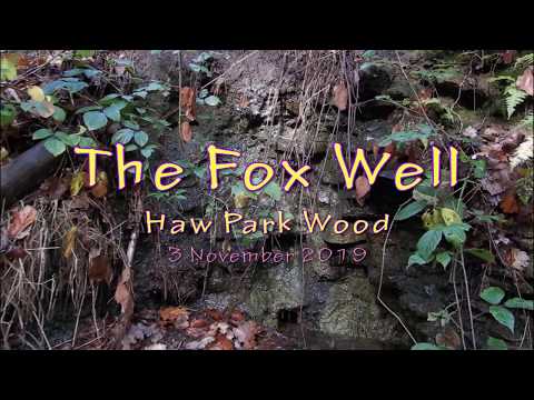 The Fox Well In Haw Park Wood | cjknowles1972