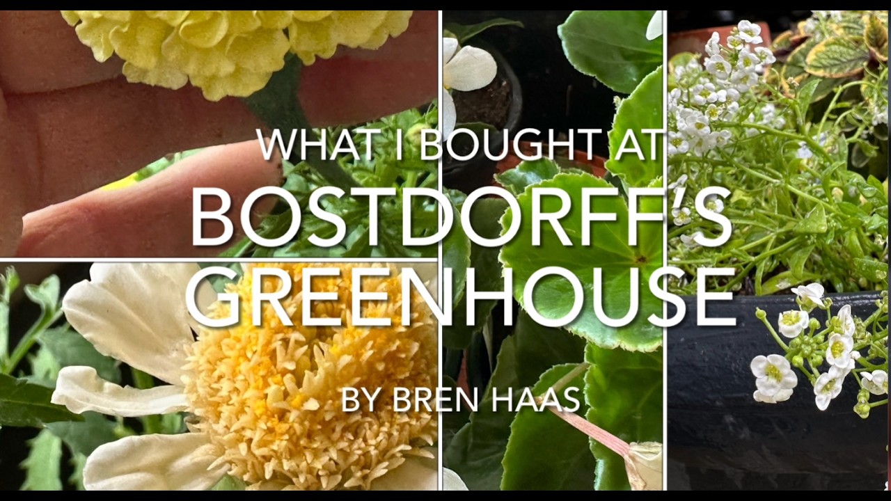 Discover a Local Garden Center | Trip to Bostdorff's in Ohio
