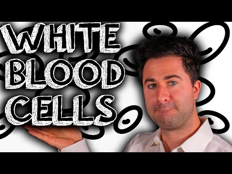 White Blood Cells (WBCs)