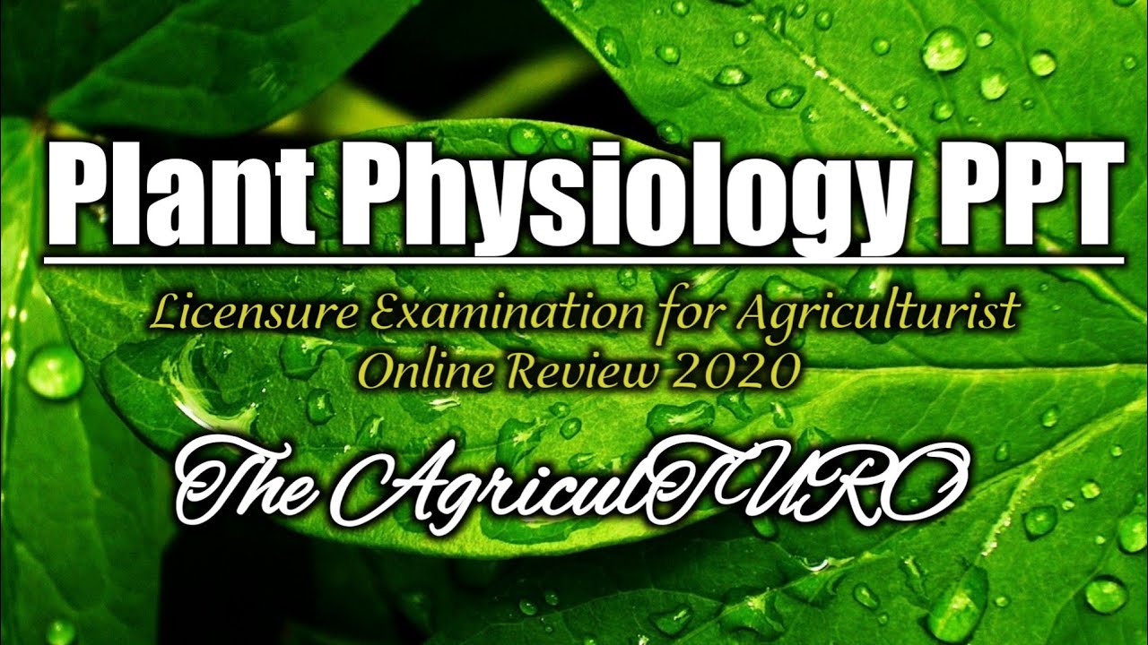 Plant Physiology PPT
