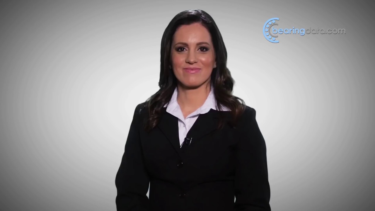 World's biggest industrial bearing interchange system.