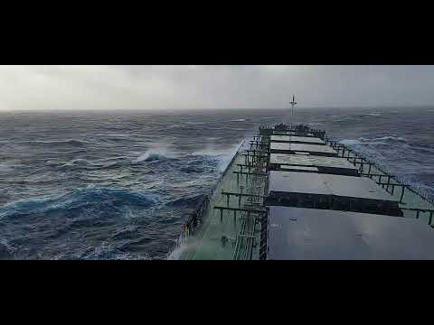PACIFIC 8M WAVES