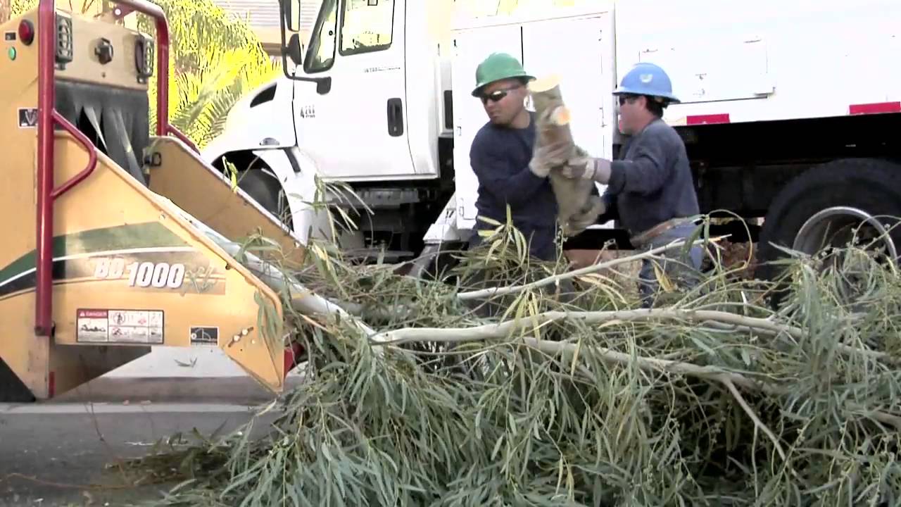 Nevada Tree Service offers complete tree service in Tree Pruning, Tree Removal and more!