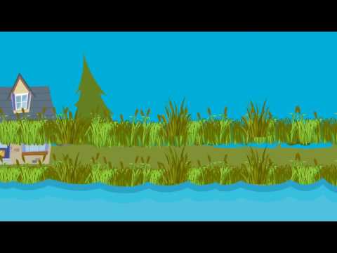 Episode 2: THE BUFFER ZONE