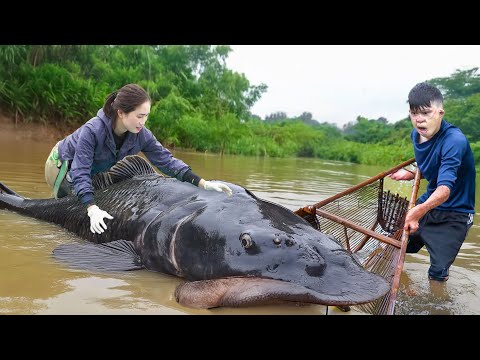 Female Hunter Harvests Giant Fish - Where is the Smart Dog? Lý Thị Hoa