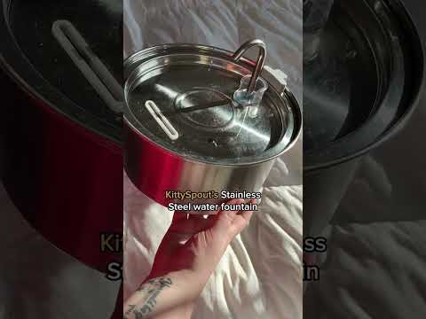 Are You Still Using Plastic Cat Fountains?