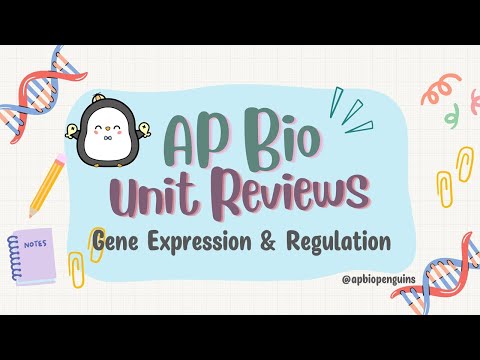 AP Biology Review: Unit 6 Gene Expression & Regulation