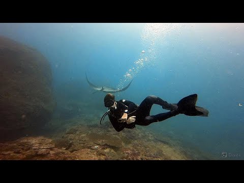 The Godfather gets excited for Black Manta with Scuba Mafia Bali
