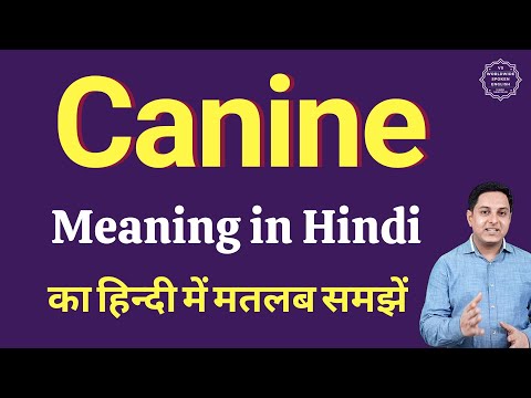 Canine meaning in Hindi | Canine ka kya matlab hota hai | online English speaking classes