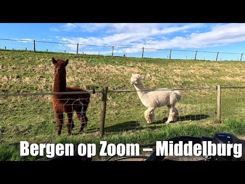 Bergen op Zoom → Middelburg 2024.03.09