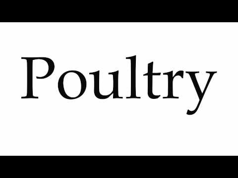 How to Pronounce Poultry
