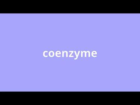 what is the meaning of coenzyme