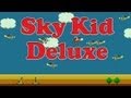 Sky Kid Deluxe - Videogame by Namco | Museum of the Game