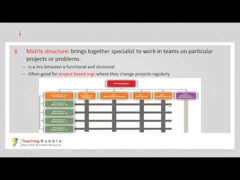 VCE Business Management - Structures (Matrix)