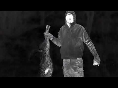 Predator and Varmint hunt