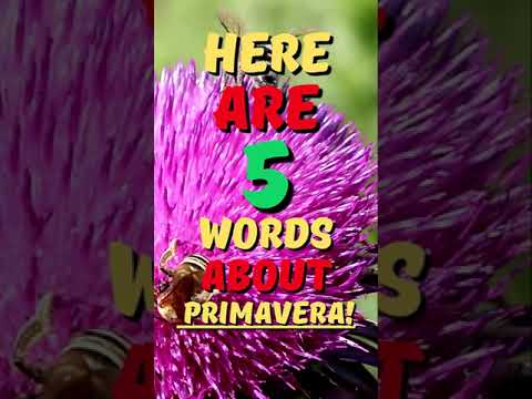 FIVE Things To Learn About Spring In Spanish! #learn #shorts #español #spanish