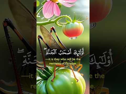 Quran Recitation With English Translation #quranrecitation #quranwithtranslation #islamic_video