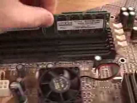 #101 - Crucial 256MB PC2100 DDR-SDRAM Memory