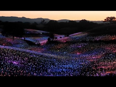 California hillside glows with thousands of colourful solar-powered lights