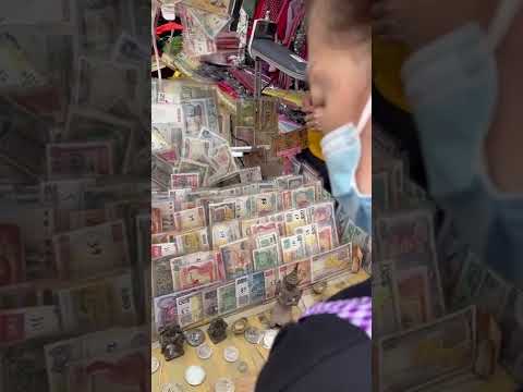 Singapore Dollars Notes||Jan Lin