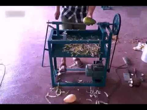 Papaya Peeling Machine at Best Price in India