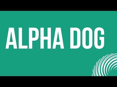 Alpha Dog (2005) - HD Full Movie Podcast Episode | Film Review