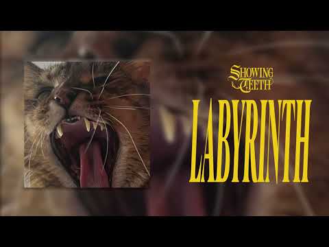 Showing Teeth Premiere New Song “Labyrinth” – Metal Anarchy