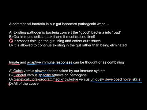 Commensal vs Pathogenic bacteria and Innate vs Adaptive immune response