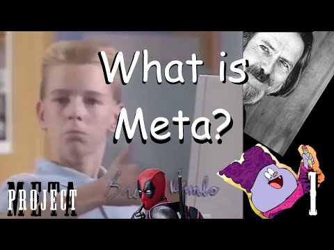 What is Meta?