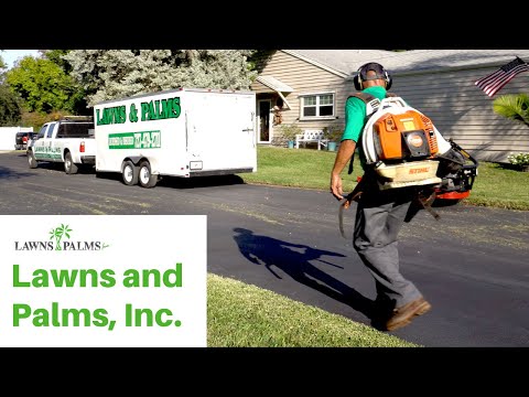 Lawns and Palms, Inc. - Lawn Care Near Me | Landscaper Largo FL | Landscaping Florida | Lawn Service