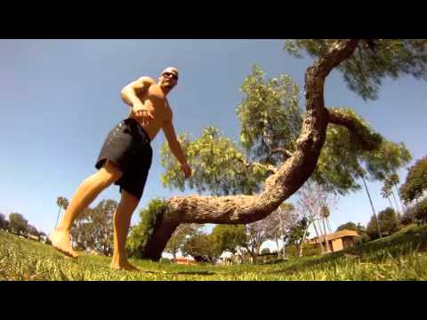 Tree Workout Video – Frontdive Fitness