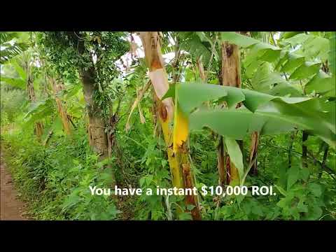 Land Investment Opportunity - Partner With Us